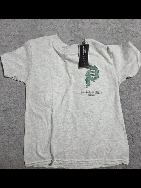 Primitive | Shirts & Tops | Attack On Titan Primitive Small Kids Gray ...